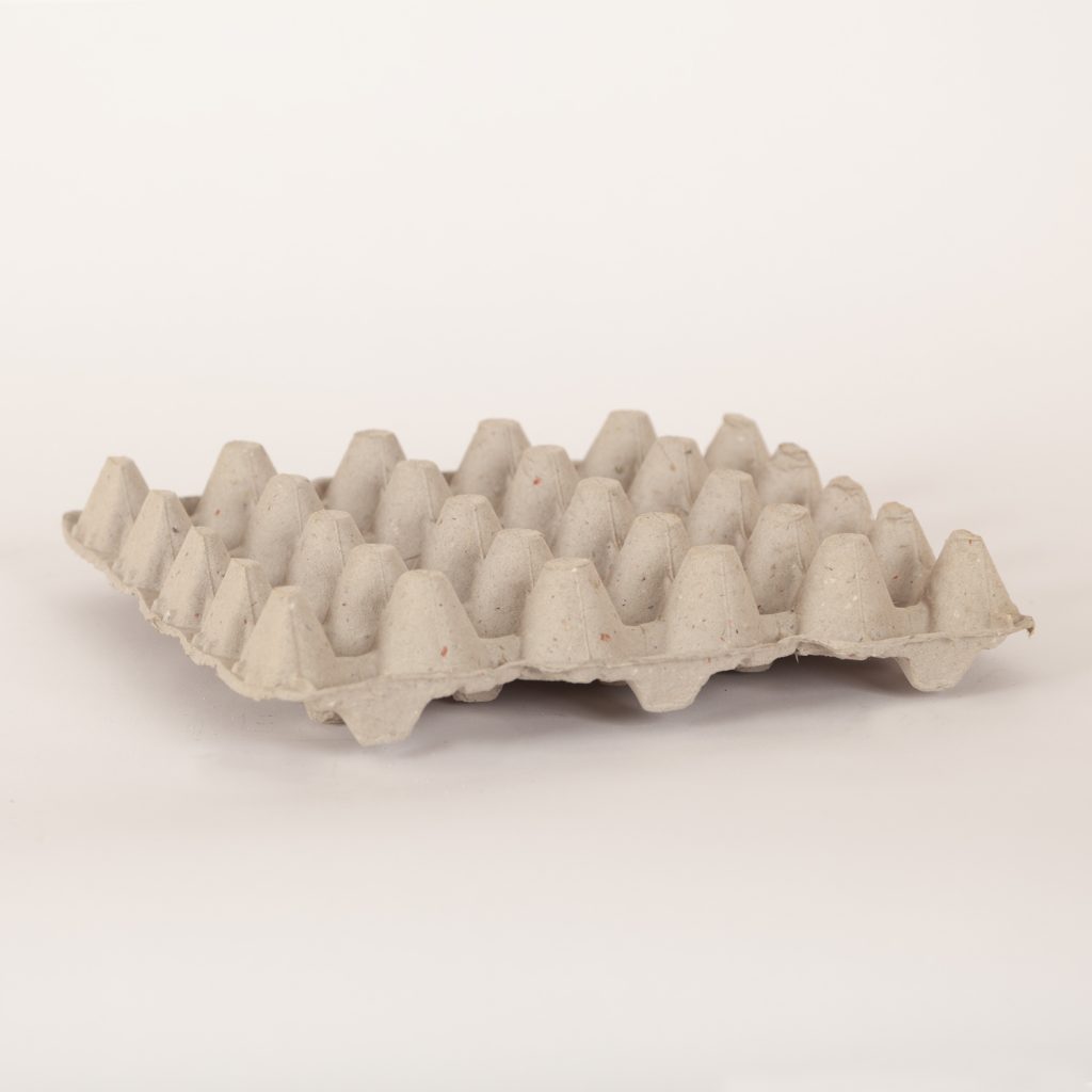 Home - Pullets Plus 50 Years of Hobby Flock Experience