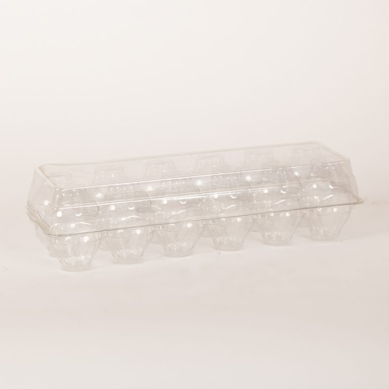 Jumbo Tri-fold Plastic Egg Carton - Pullets Plus