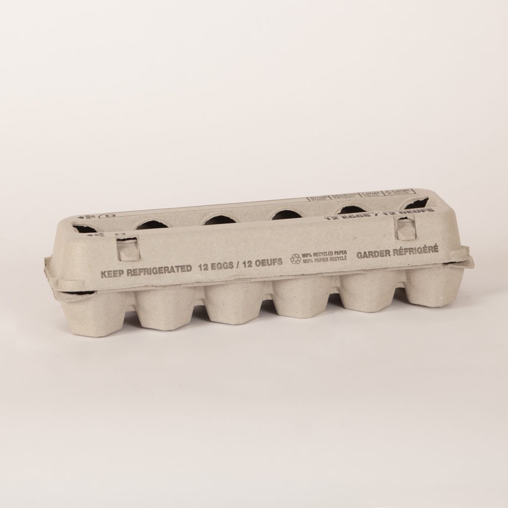 Open Top Fibre Generic Egg Carton - Pullets Plus