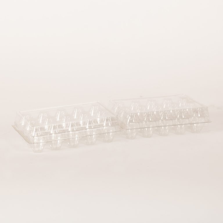 Jumbo Tri-fold Plastic Egg Carton - Pullets Plus